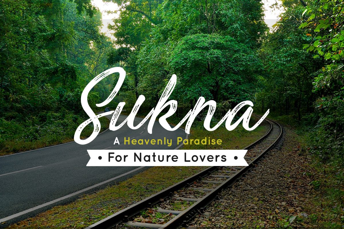Sukna Forest Siliguri - A Heavenly Paradise for Nature Lovers