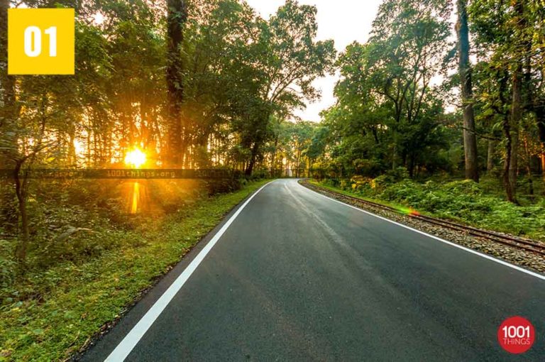 Sukna Forest Siliguri - A Heavenly Paradise for Nature Lovers