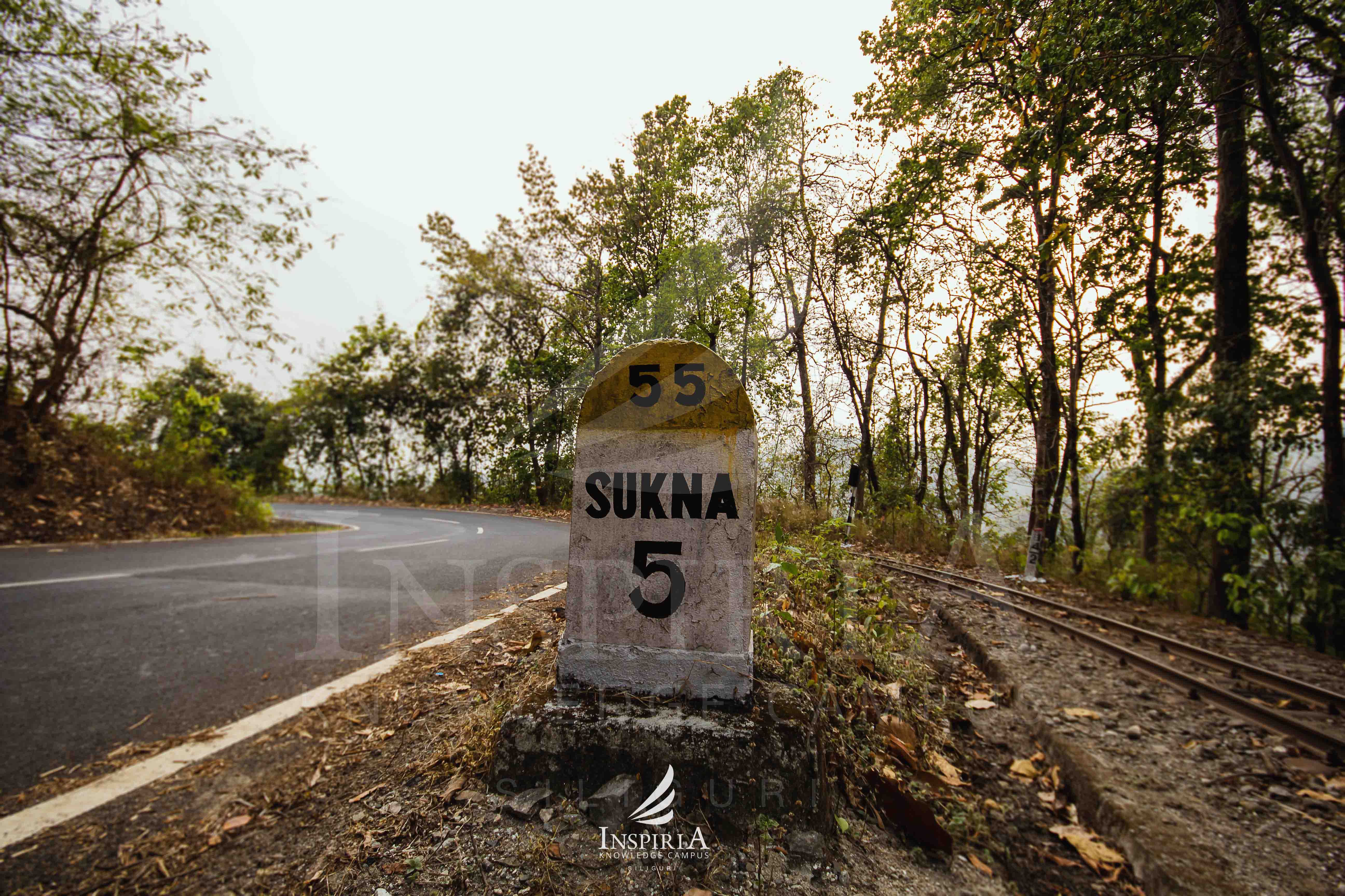 #1 Sukna Forest Siliguri - A Heavenly Paradise for Nature Lovers