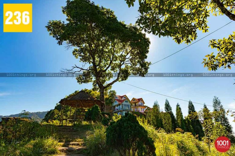 Charkhole - View of the Majestic Kanchenjunga
