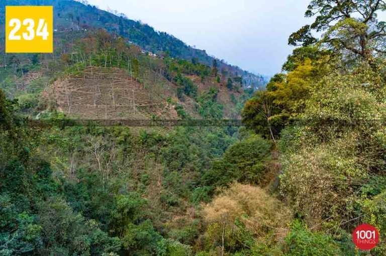 India's First Hydel Project