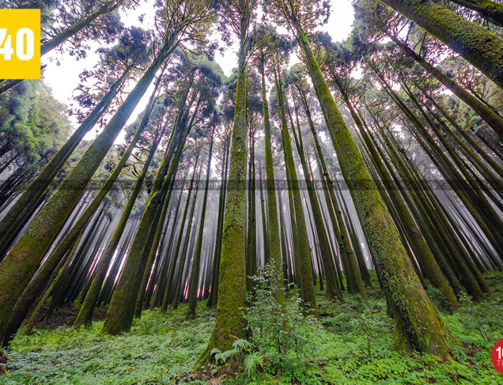 Ewam India Buddhist Monastery, Siliguri - Ancient Buddhism For The ...