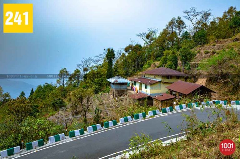 Samthar: Another Less Discovered Nature Filled Den in Kalimpong