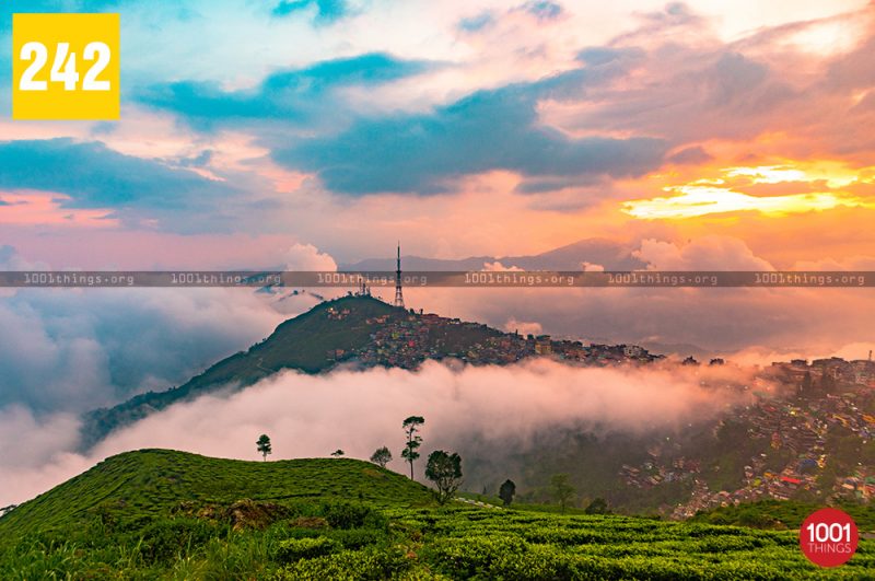 Hanuman Statue Kurseong View Point