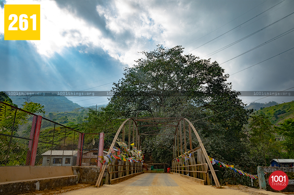 Discovering the Serenity of Tabakoshi village.